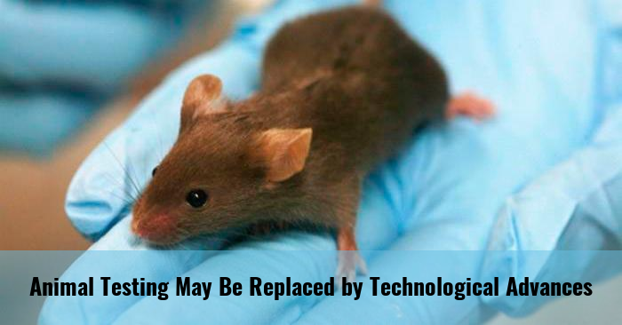 Animal Testing May Be Replaced by Technological Advances - CytoSolve ...