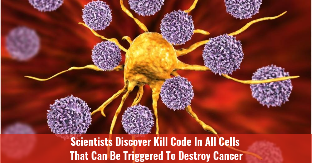Scientists discover kill code in all cells that can be triggered to ...