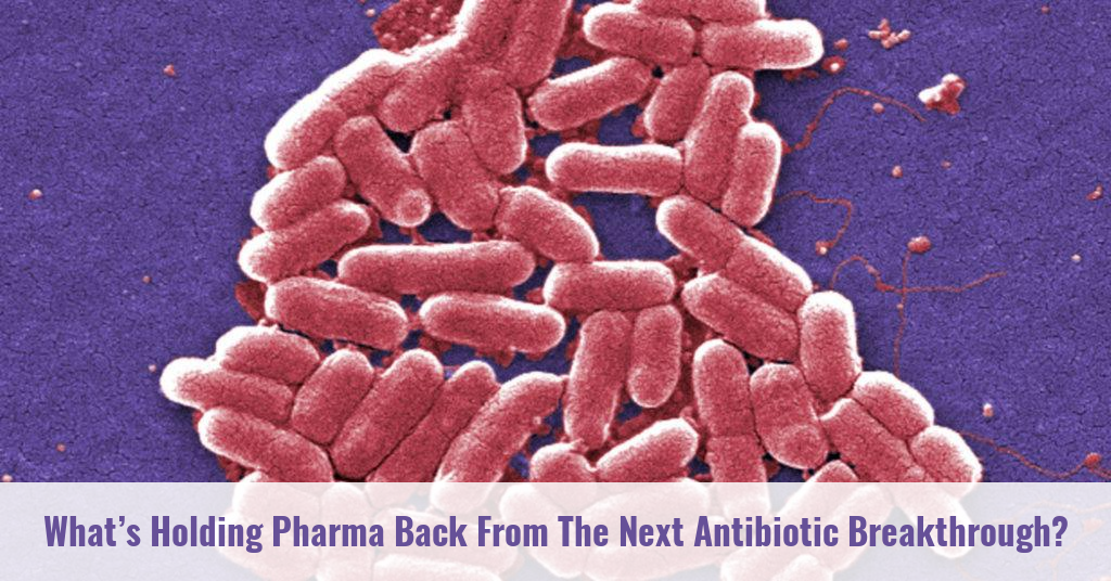 What’s holding pharma back from the next antibiotic breakthrough ...