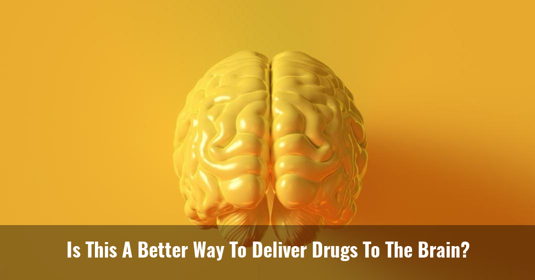 Is this a better way to deliver drugs to the brain? - CytoSolve ...