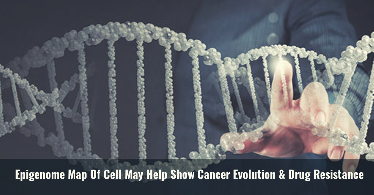Epigenome Map of Cell May Help Show Cancer Evolution & Drug Resistance ...