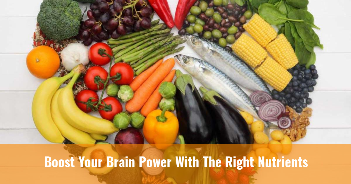 Boost your brain power with the right nutrients - CytoSolve | Research ...