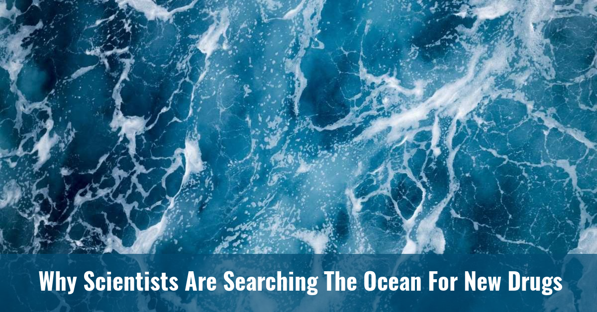 Why scientists are searching the ocean for new drugs - CytoSolve ...